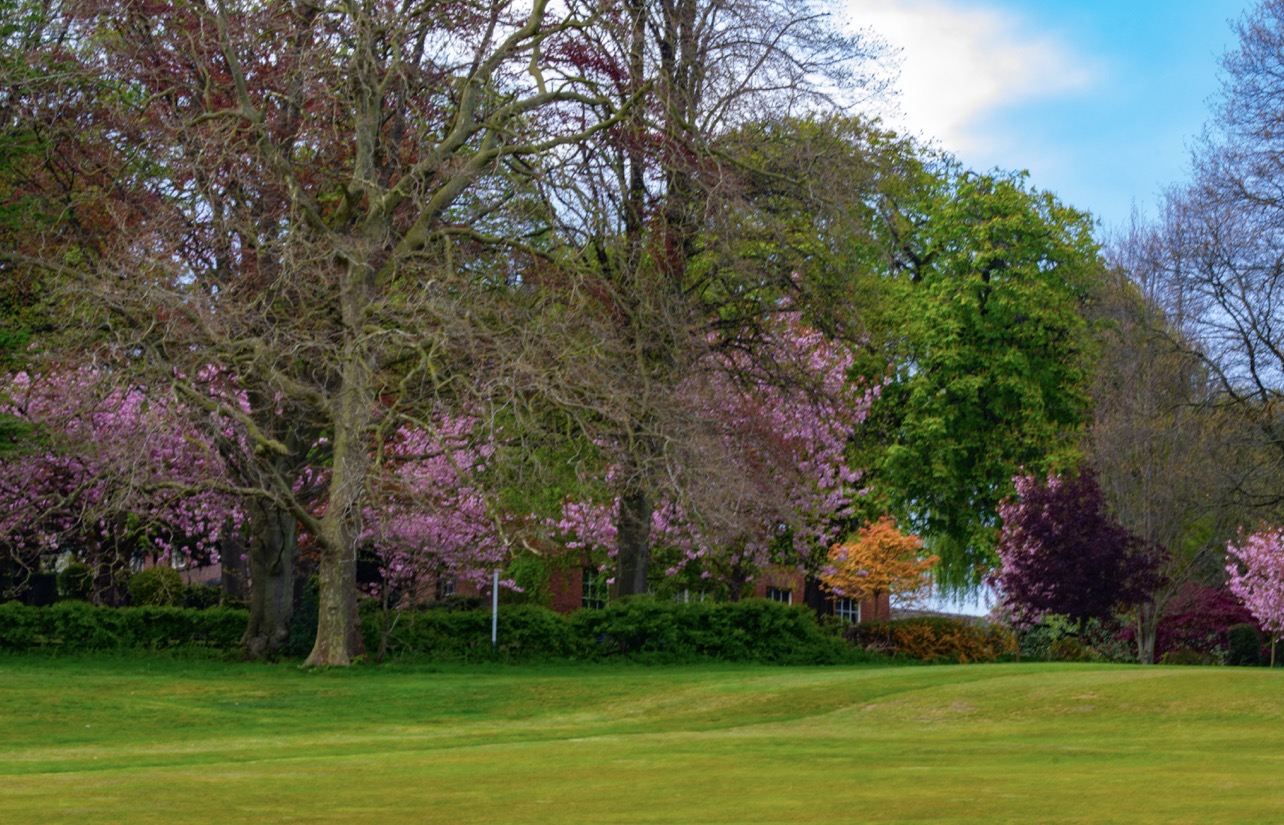 Tapton Park Golf Club | Golf Course & Driving Range in Chesterfield ...