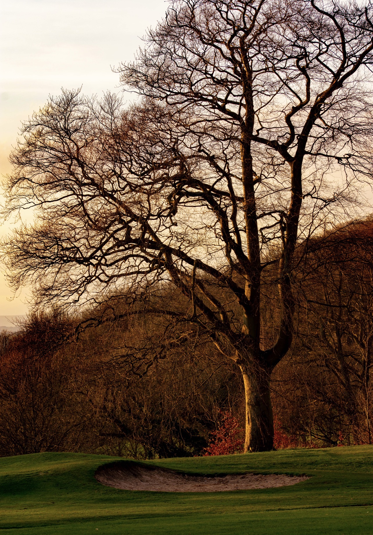 Tapton Park Golf Club | Golf Course & Driving Range in Chesterfield ...