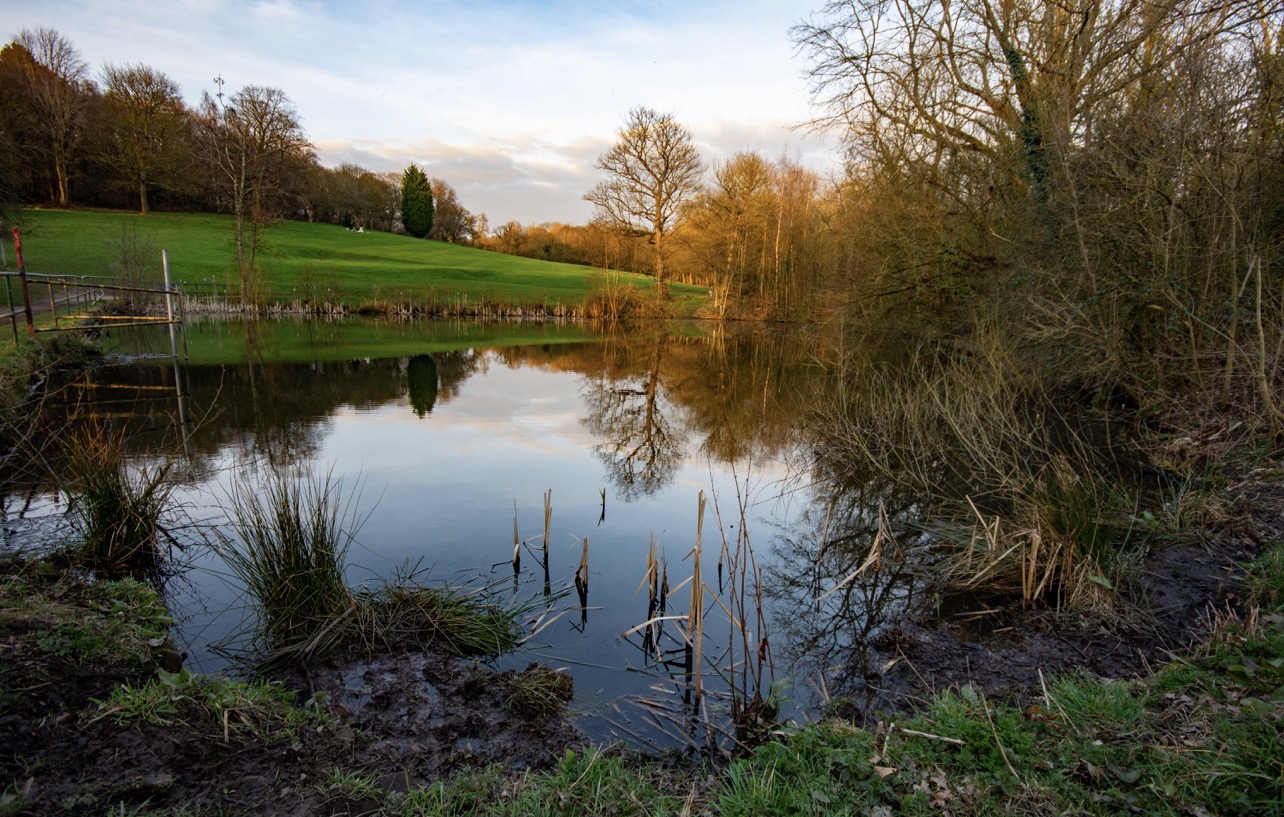 Tapton Park Golf Club | Golf Course & Driving Range in Chesterfield ...